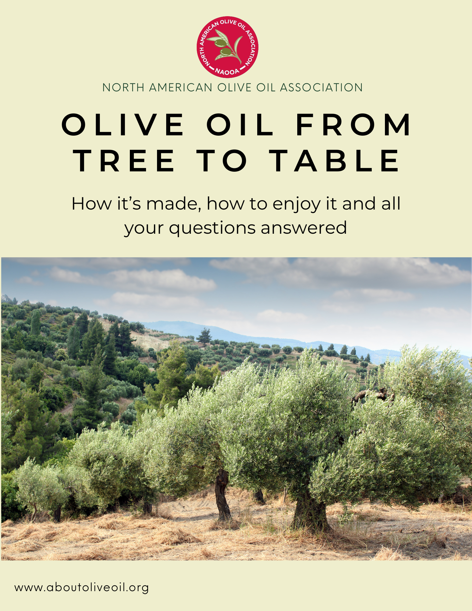 What are the main differences between extra virgin olive oil, olive oil ...