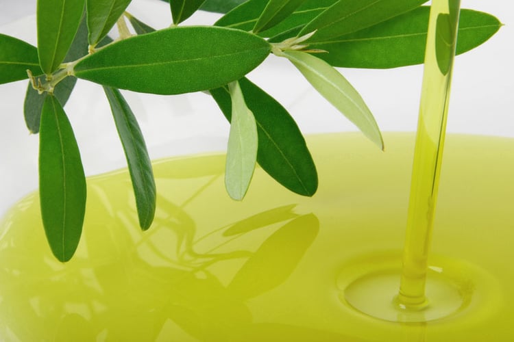 What is high oleic oil?