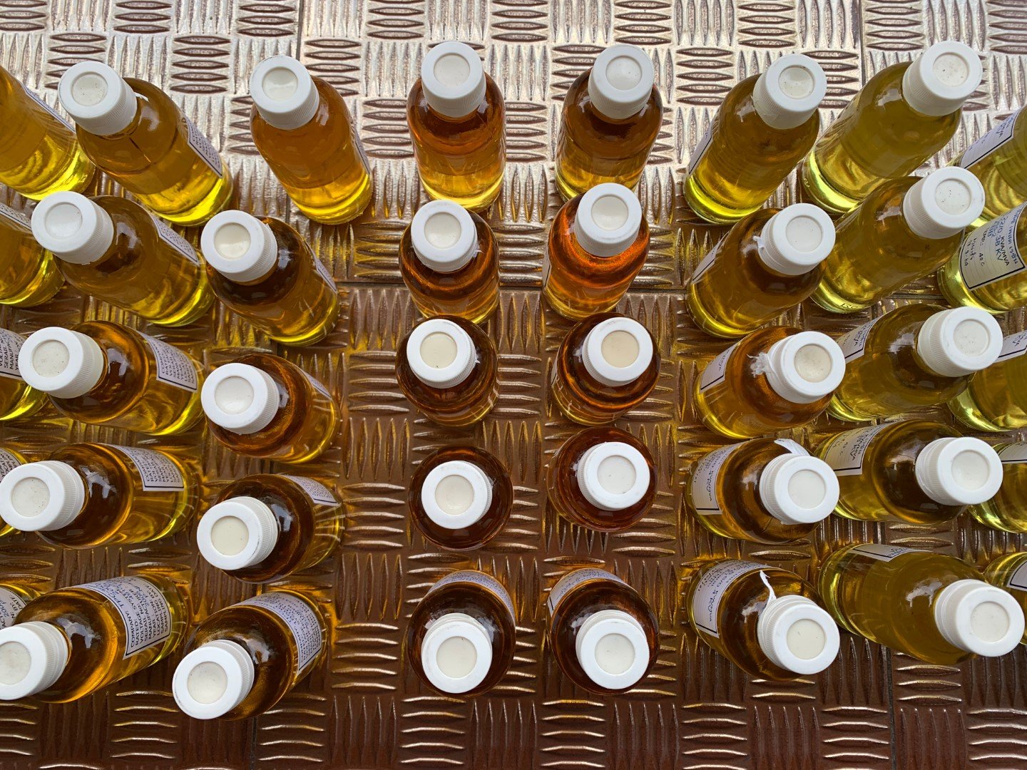 What is high oleic oil?